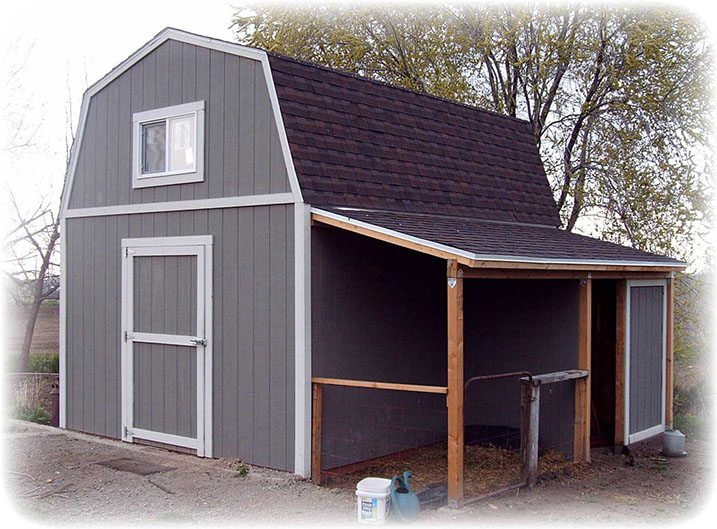Tall Barn Style Sheds
